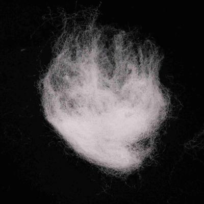 China PE/PP ES Fiber 6D × 51mm White Flame Retardant Bicomponent Fiber for Nonwoven Applications for sale