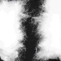 China 6D x 51mm ES Bicomponent Polyester Fiber for Face Masks and Medical Applications - SGS & OEKO Certified for sale