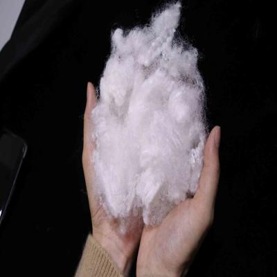 China Virgin Hollow Conjugated Fiber 20D × 64mm Flame Retardant PSF - GRS Certified Thermal Insulation Material for sale