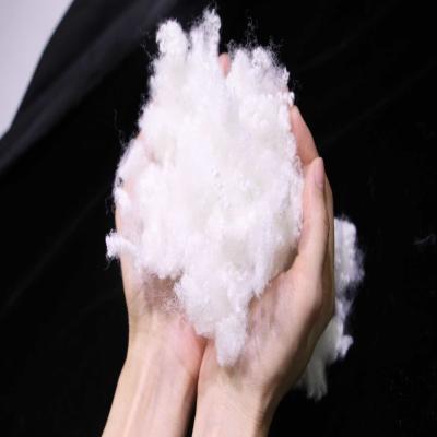 China Recycled Polyester Staple Fiber 7D × 51mm Hollow Conjugated for Non-Woven Fabric & Filling for sale