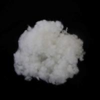 China Recycled Conjugated Polyester Fiber 32mm 3D Pure White Hollow PSF with GRS Certification for Thermal Insulation for sale