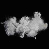 China Customized Staple Polyester Fibre 25mm Non Fluorescent Regenerated Polyester for sale