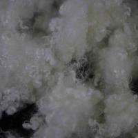 China Non Fluorescent Nontoxic Polyester Staple Fibre 3D×25mm Pure White Psf For Filling for sale