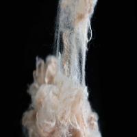 China Palm Brown Low Melt Polyester Staple Fiber 4D x 64mm High Tensile for Textile and Automotive Applications for sale