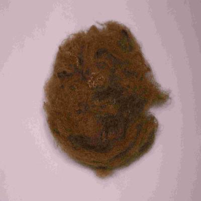 China Camel Color 6D x 65mm Recycled Polyester Staple Fiber - GRS Certified Eco-Friendly PSF for Textile Applications for sale