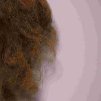 China Camel Color 6D x 65mm Recycled Polyester Staple Fiber - GRS Certified Eco-Friendly PSF for Textile Applications for sale