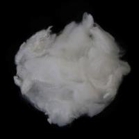 China Low Crimp Silicone-Free Recycled Polyester Staple Fiber 2.5D x 51mm for Hot Air Non-Woven Fabric with GRS Certification for sale