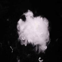 China Lightweight Non-Fluorescent Polyester Staple Fiber 0.9D x 32mm for Non-Woven Applications with GRS Certification for sale