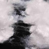 China Hollow Polyester Fibre Short 7D Non siliconized Polyester Short Cut Fiber for sale