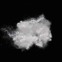 China Flame Retardant Hollow Polyester Fibre 64mm Synthetic Chemical Fibre for sale
