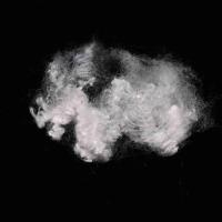 China Non siliconized Regenerated Conjugated Polyester Fiber 64mm Hollow Fiber for sale