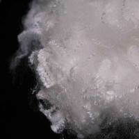 China Eco-Friendly Hollow Polyester Fiber 1.33D siliconized Lightweight White for sale
