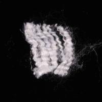 China Best Quality Spinning Grade 1.5D*38mm Polyester Staple Fiber for sale