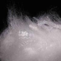 China SD Luster Synthetic Textile Fiber The Perfect Solution for Textile Manufacturers for sale