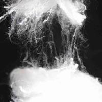 China A Grade White Polyester Fiber for Spinning - 4D Fineness, 51mm Length, Low Melt Point 110-150°C for sale