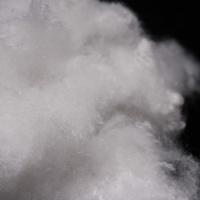 China Recycled PET 8D Flame Retardant Fiber 64mm Length for Fireproof Filling Material with GRS Certification for sale