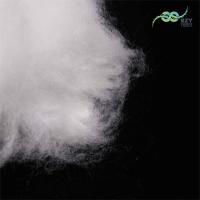 China A Grade Water Absorbent Bicomponent ES Fiber 6D × 51mm Low Melt For Diaper Tissue Medical Applications for sale