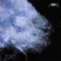 China 9D x 51mm Recycled Polyester Staple Fiber for Non-Woven Fabric - GRS Certified Blue Dope Dyed for sale