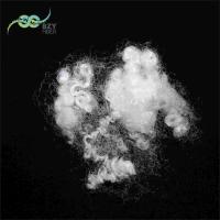 China Non-siliconized Conjugated Hollow Polyester Fibre Coiled Coil 15D White for sale