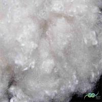 China Non-siliconized Conjugated Hollow Polyester Fibre Coiled Coil 15D White for sale