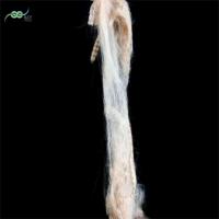 China A Grade Recycled PET Non siliconized Low Melting Fiber For Spinning for sale