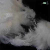 China 2.5D Regenerated Polyester Staple Fiber Man Made Nontoxic Viscose Staple Fibre for sale