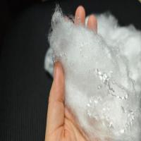 China Recycled PP Staple Fiber 3D*76mm for Spinning - SGS & OEKO Certified Polypropylene Fiber for sale