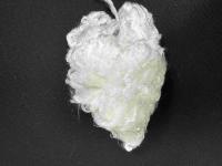 China 1.67dtex×38mm High Hygroscopicity Aloe Cellulose Staple Fiber for Textile Applications for sale