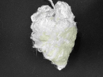 China 1.67dtex×38mm High Hygroscopicity Aloe Cellulose Staple Fiber for Textile Applications for sale