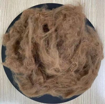 China Recycled Polyester Staple Fiber 2.5D 51mm Coffee for sale