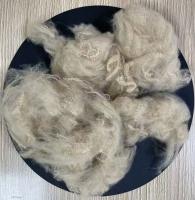 China Recycled Polyester Staple Fiber 5D 51mm Beige Grade A for sale