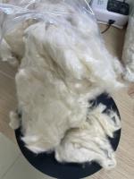 China Sustainable Kapok Fiber 0.3-0.4 g/cm³ Density 8-32 cm Length for Pillows Mattresses and Textiles for sale