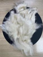 China Sustainable Kapok Fiber 0.3-0.4 g/cm³ Density 8-32 cm Length for Pillows Mattresses and Textiles for sale