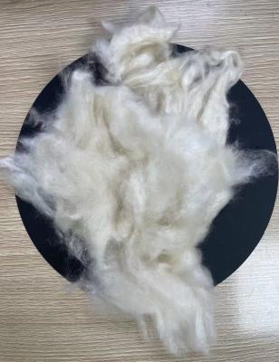 China Sustainable Kapok Fiber 0.3-0.4 g/cm³ Density 8-32 cm Length for Pillows Mattresses and Textiles for sale