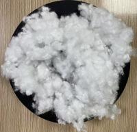 China Virgin Hollow Conjugated Polyester Staple Fiber siliconized 7D 32mm for sale