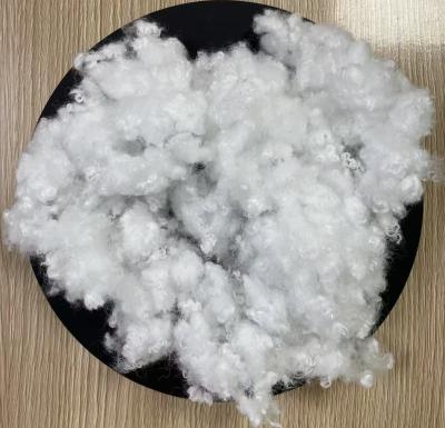 China Virgin Hollow Conjugated Polyester Staple Fiber siliconized 7D 32mm for sale