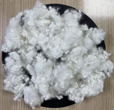 China Recycled Hollow Conjugated Polyester Staple Fiber siliconized 7D 32mm for sale