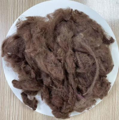 China Recycled Polyester Staple Fiber 2.5D 51mm Dark Coffee for sale