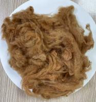China Recycled Polyester Staple Fiber 2.5D 51mm Yellow Camel for sale