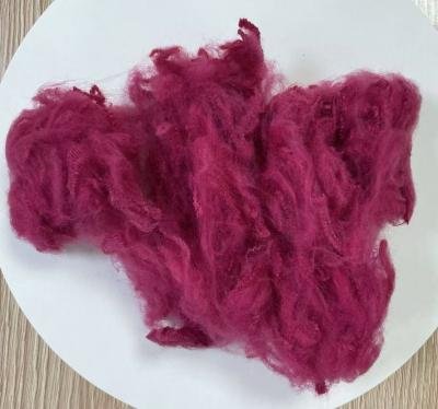 China Recycled Polyester Staple Fiber 2.5D 51mm Plum Purple for sale