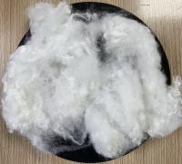 China Virgin Polyester Staple Fiber 15D 64mm White Standard GRS Certificated for sale