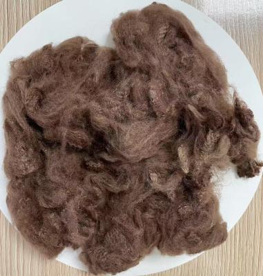China Recycled Polyester Staple Fiber 2.5D 51mm Coffee Color for sale
