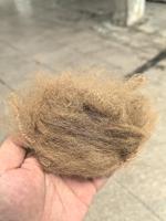 China Recycled Polyester Staple Fiber 6D 51mm Camel High Tear Resistance for sale
