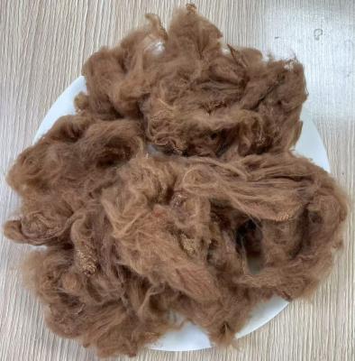 China non siliconized Dope Dyed Polyester Fiber 1.5D 38mm Camel for sale