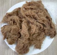 China Recycled Polyester Staple Fiber 1.5D 38mm Light Camel for sale