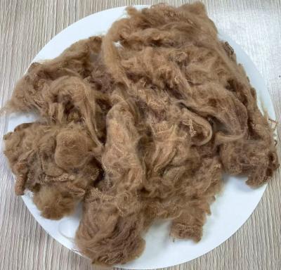 China Recycled Polyester Staple Fiber 1.5D 38mm Light Camel for sale