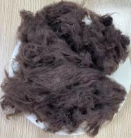 China non siliconized Recycled Polyester Fiber 1.5D 38mm Dark Coffee for sale