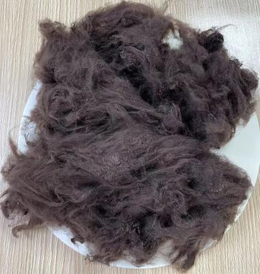 China non siliconized Recycled Polyester Fiber 1.5D 38mm Dark Coffee for sale