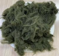 China Seaweed Green Dope Dyed Polyester Fiber 1.5D 38mm for sale
