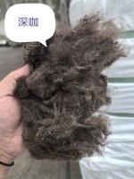China Recycled Polyester Staple Fiber 3D 51mm Dark Coffee for sale